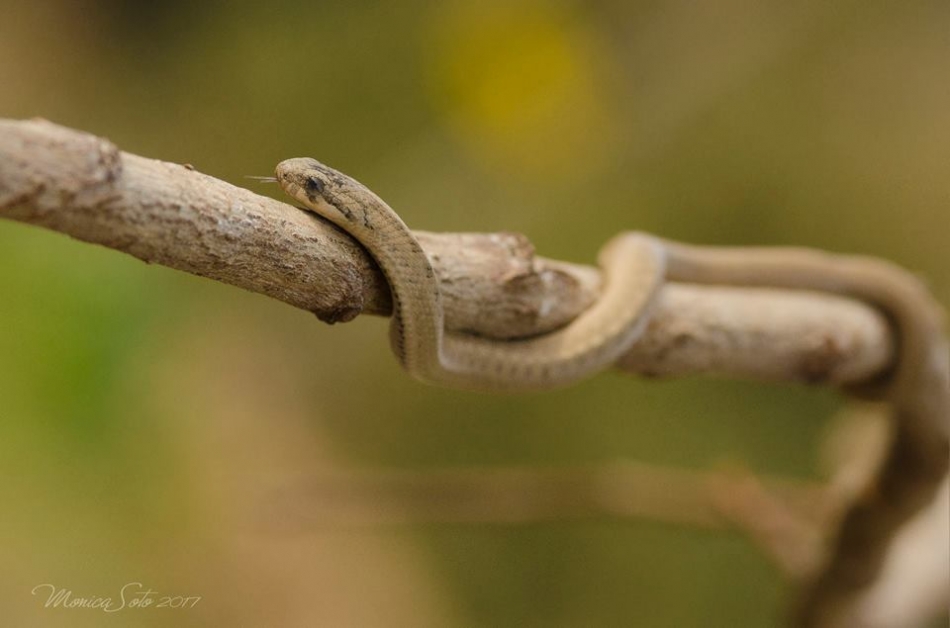 Foto Naturaleza - Chile