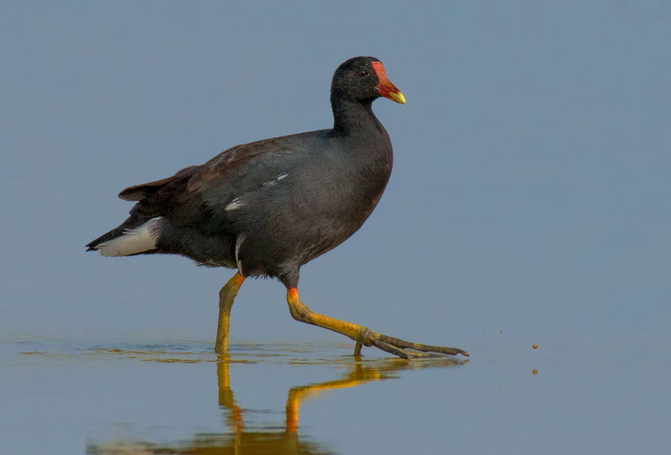 Foto Naturaleza - Chile