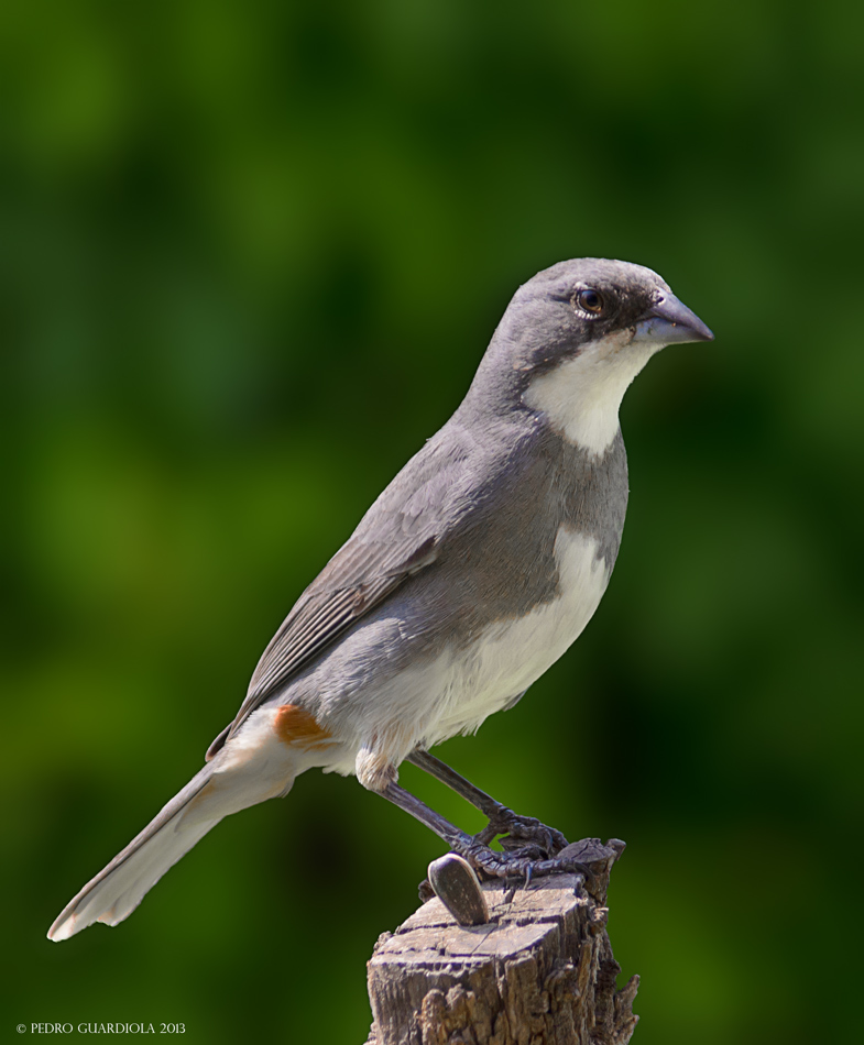 Foto Naturaleza - Chile