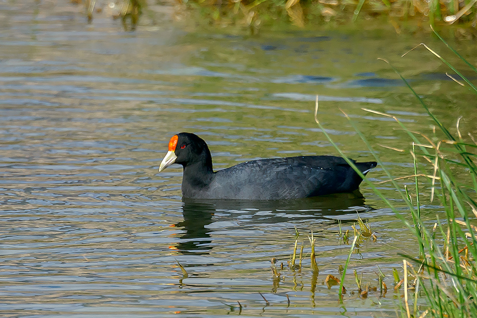 Foto Naturaleza - Chile