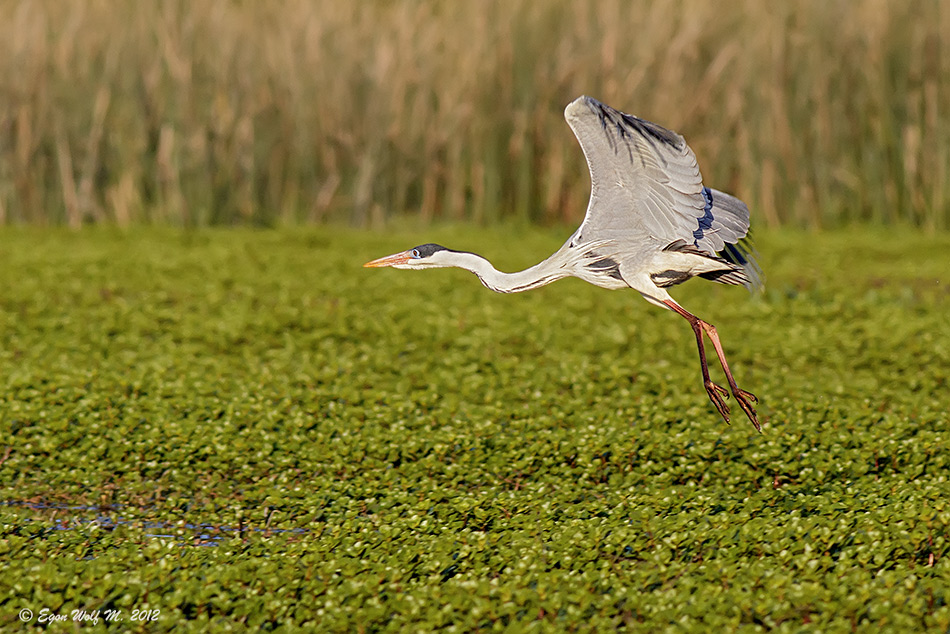 Foto Naturaleza - Chile
