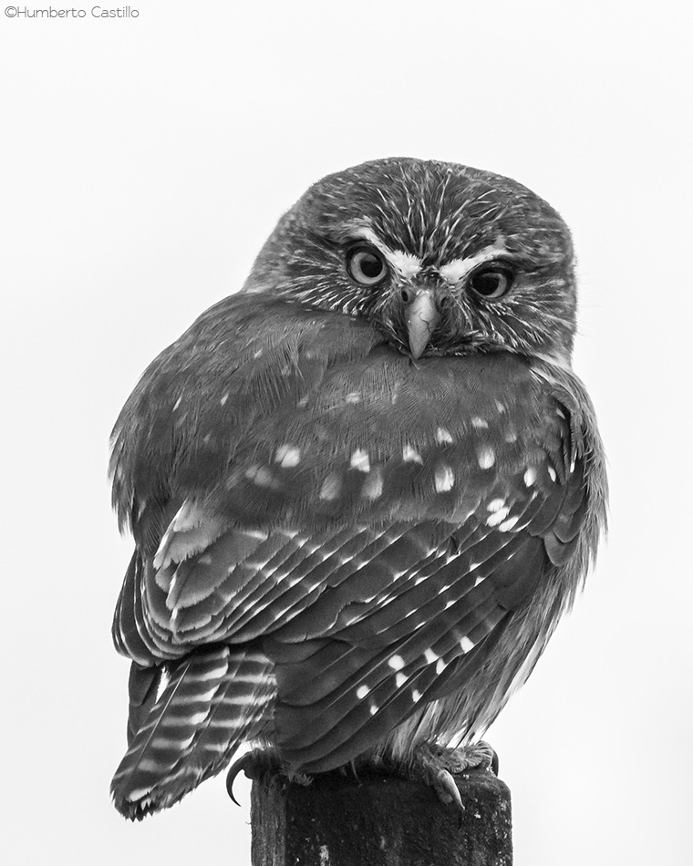 Foto Naturaleza - Chile