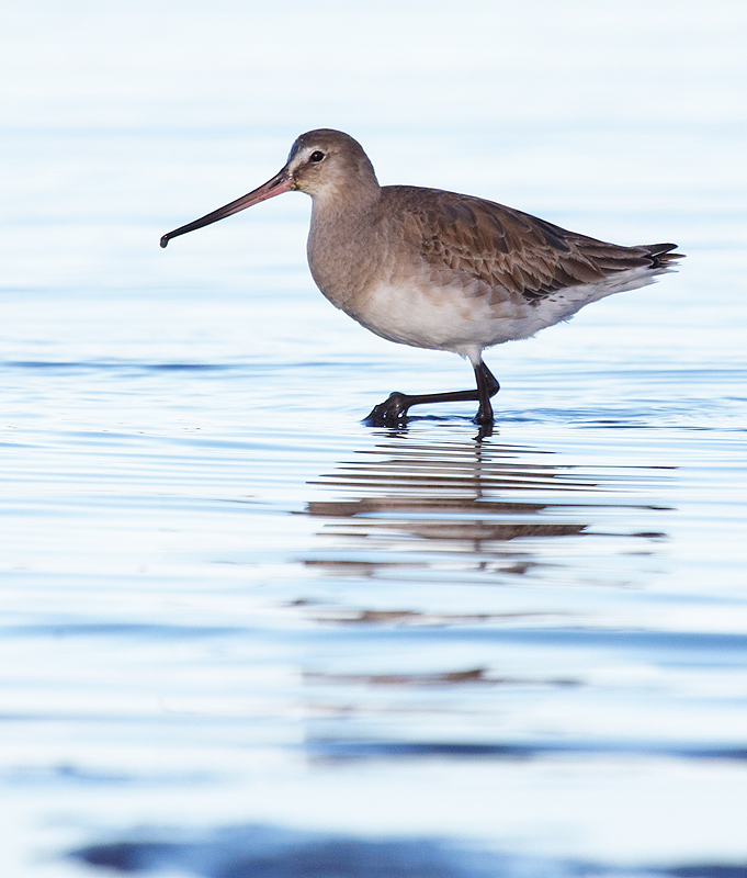 Foto Naturaleza - Chile