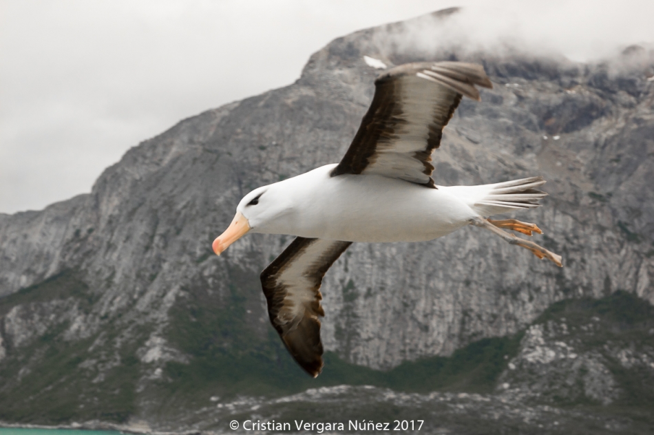 Foto Naturaleza - Chile