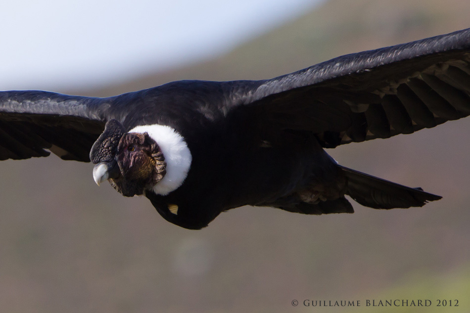 Foto Naturaleza - Chile