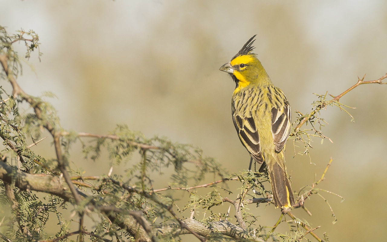 Foto Naturaleza - Chile