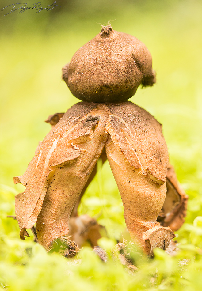 Foto Naturaleza - Chile