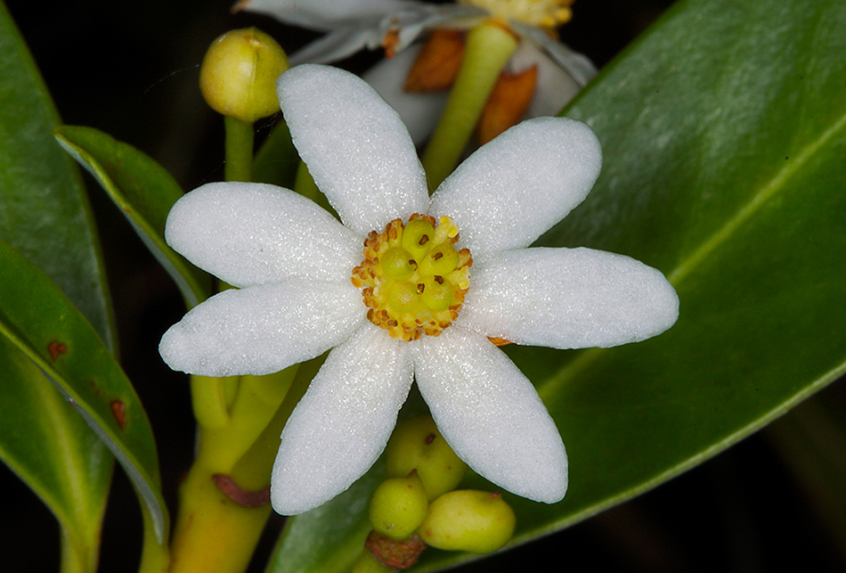 Foto Naturaleza - Chile