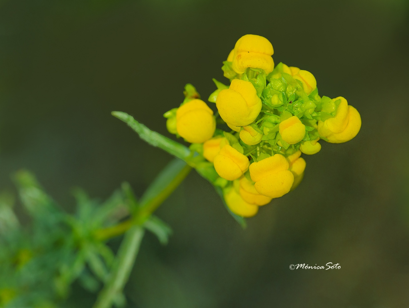 Foto Naturaleza - Chile