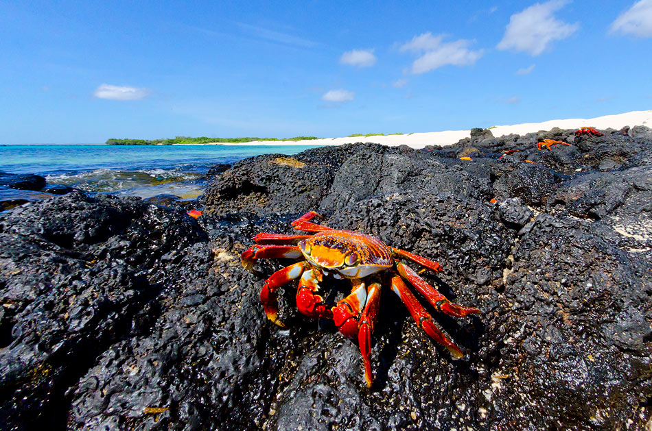 Foto Naturaleza - Chile