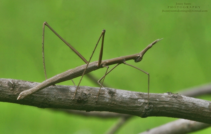 Foto Naturaleza - Chile