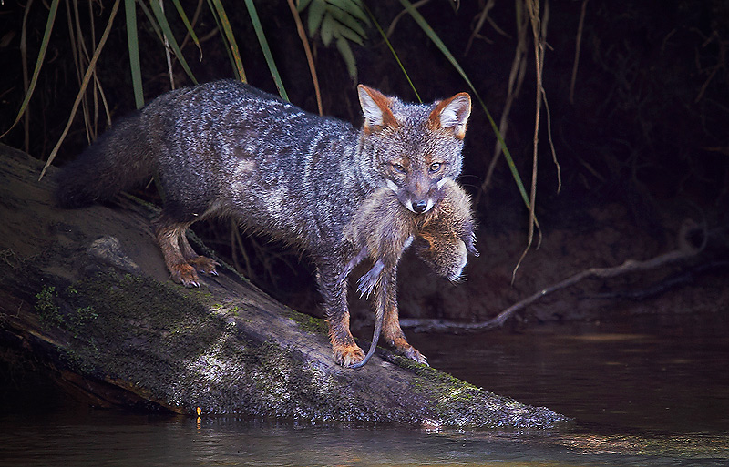 Foto Naturaleza - Chile