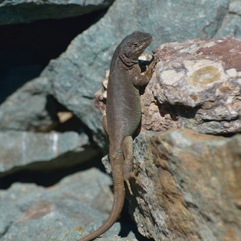 Foto Naturaleza - Chile