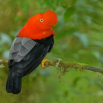 Foto Naturaleza - Chile