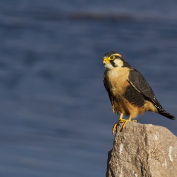 Foto Naturaleza - Chile