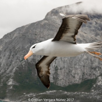 Foto Naturaleza - Chile