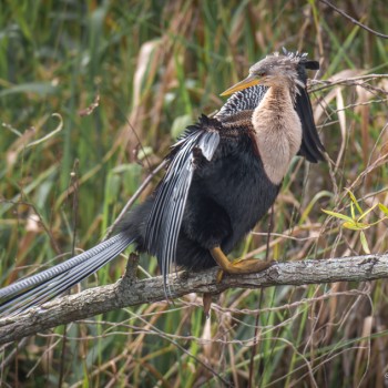 Foto Naturaleza - Chile