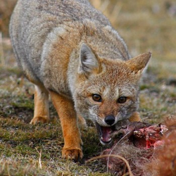 Foto Naturaleza - Chile